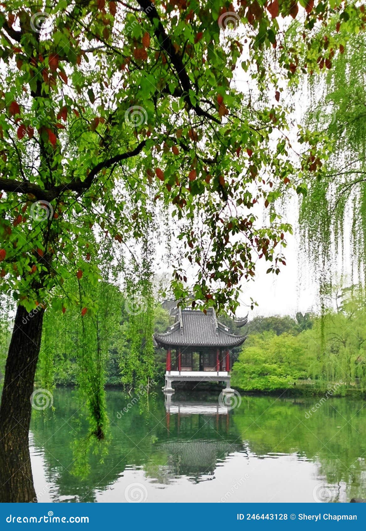 Spring in Shanghai China at the Summer Palace Stock Photo - Image of ...