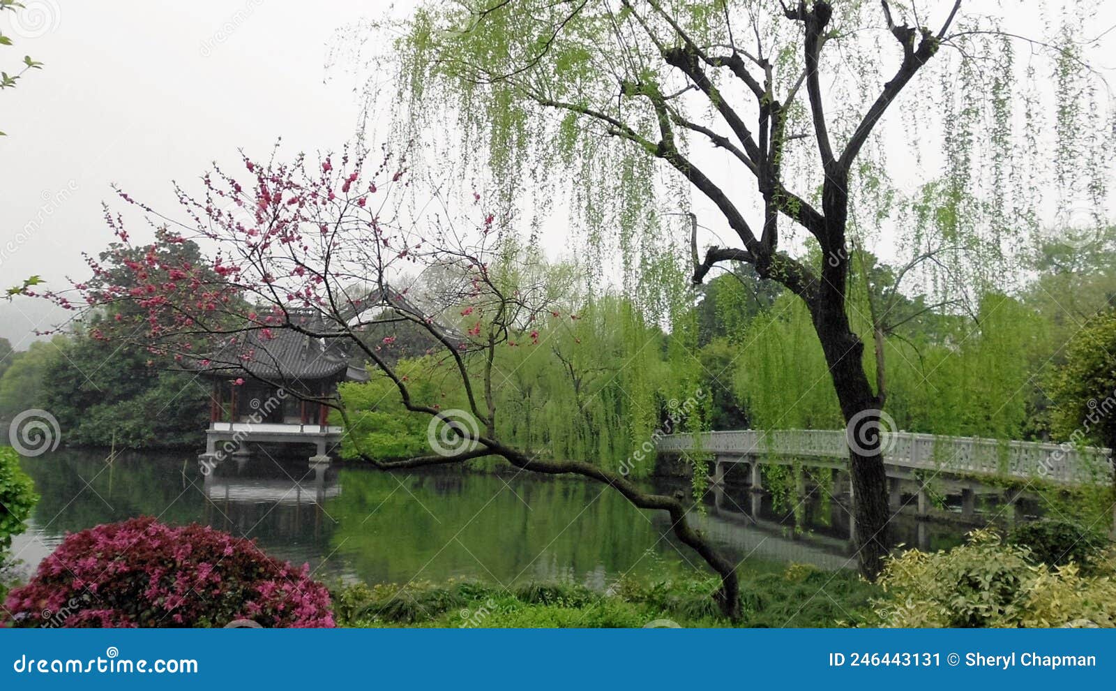 Spring in Shanghai China at the Summer Palace Stock Image - Image of ...