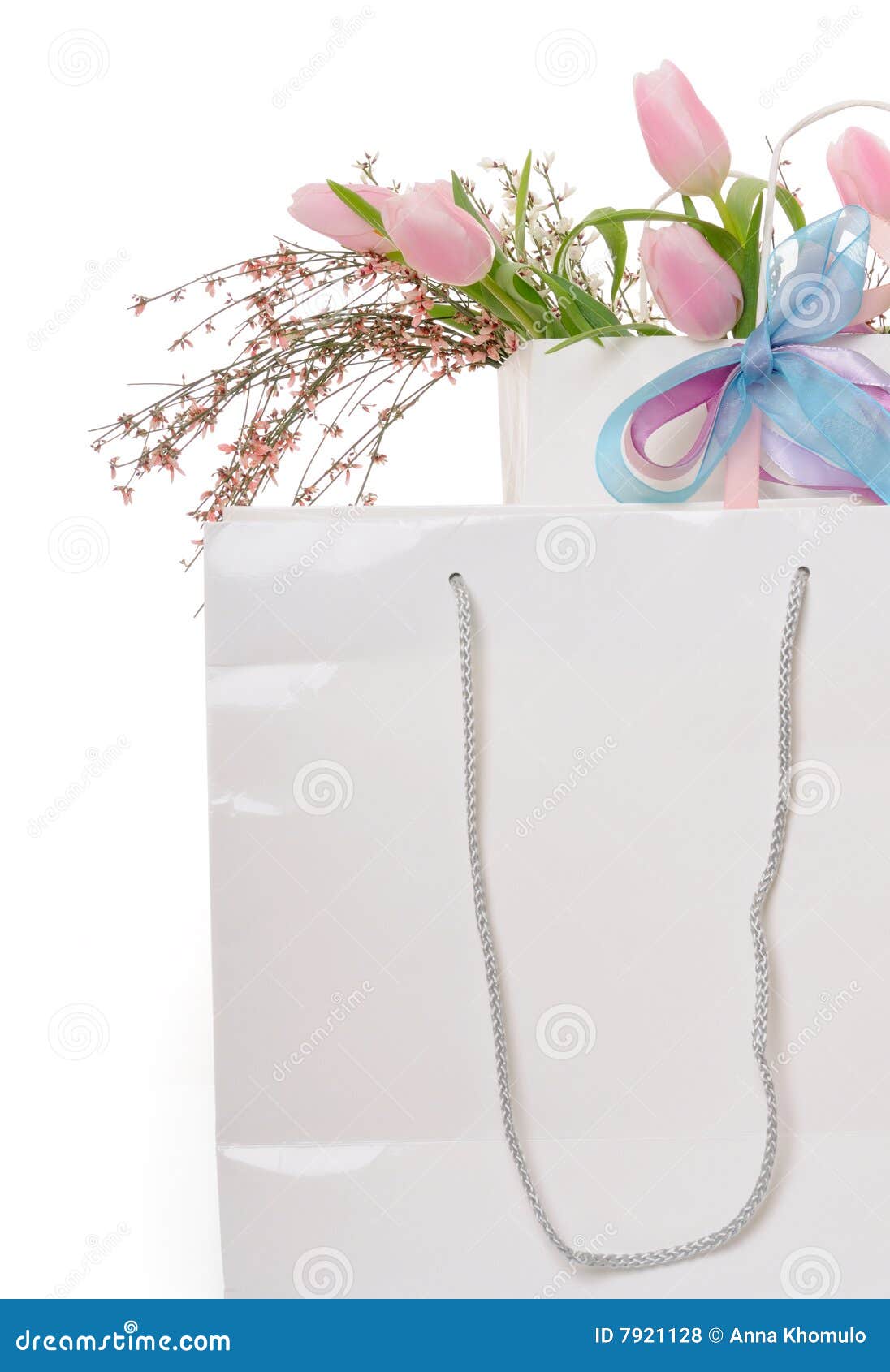Spring shopping stock photo. Image of gift, bouquet, pink - 7921128