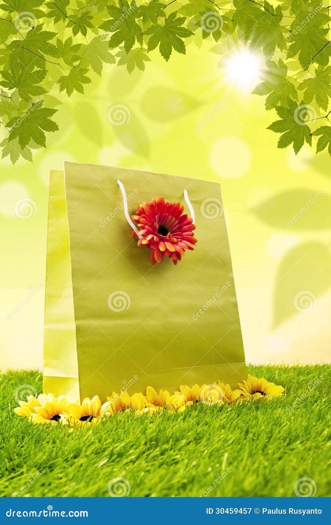 Spring Shopping Bag in Green Stock Image - Image of head, meadow: 30459457