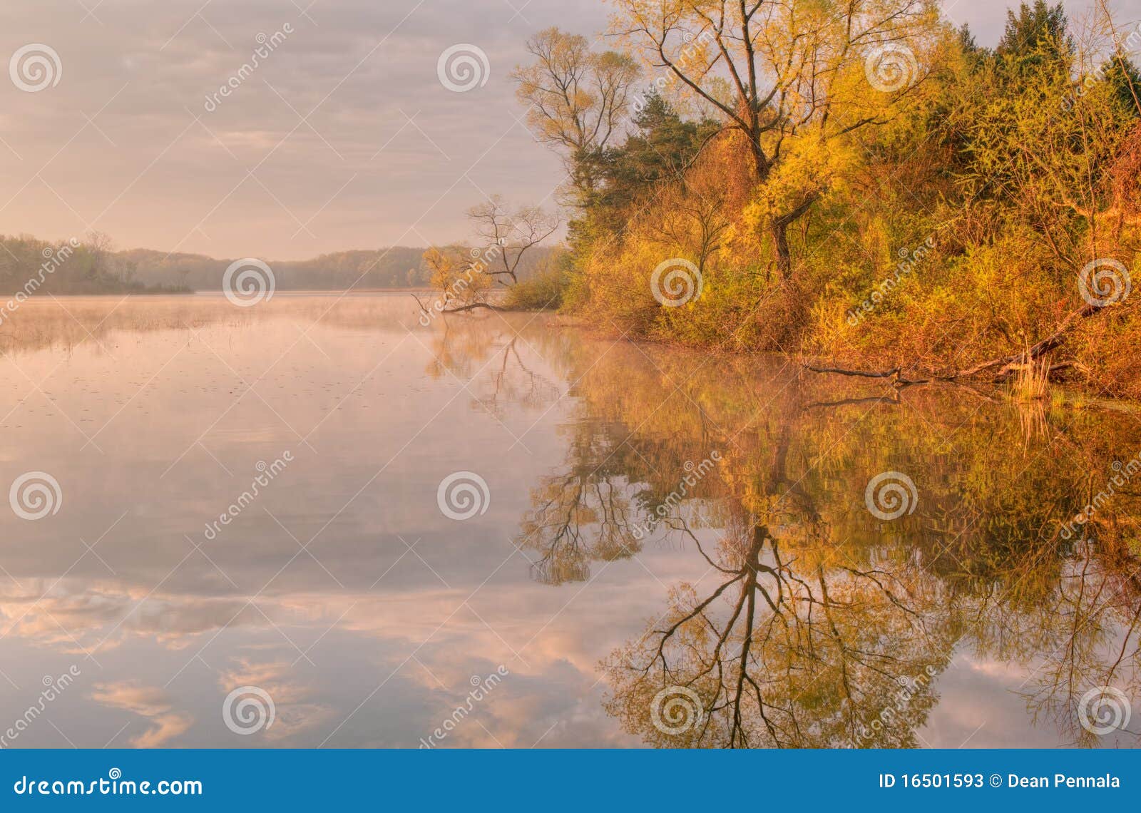 Spring Shoreline stock image. Image of morning, michigan - 16501593
