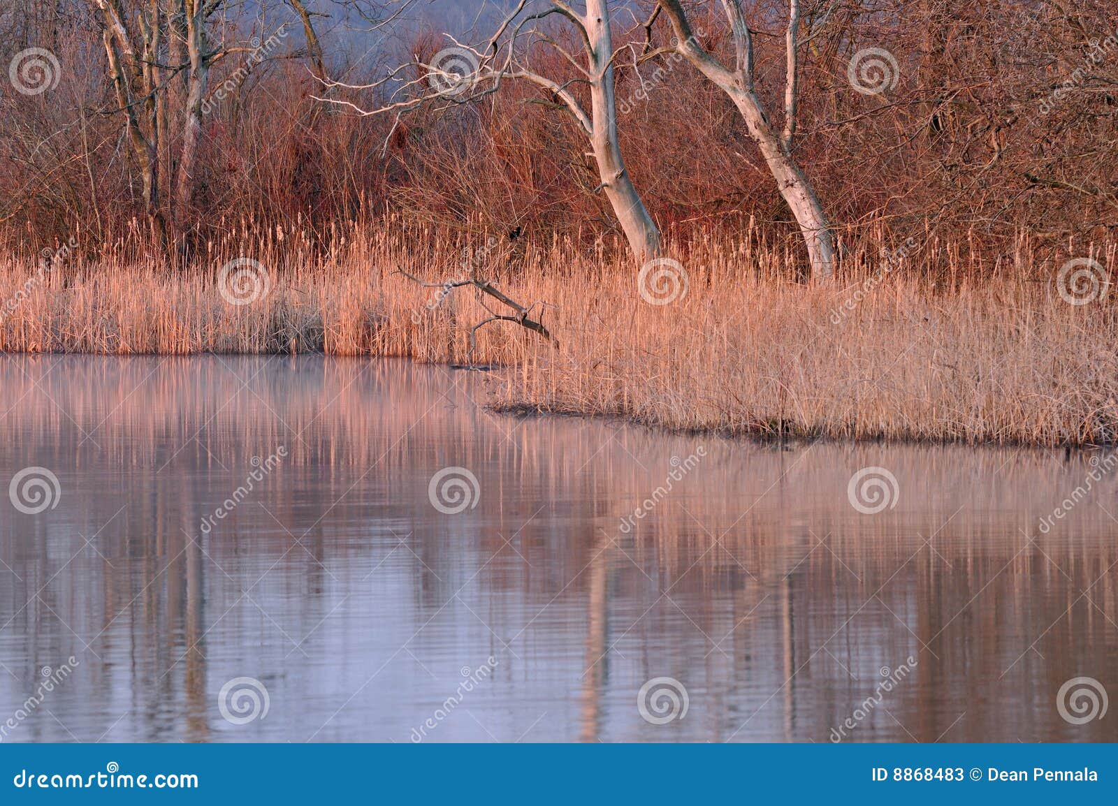 Spring Shoreline stock image. Image of landscape, shoreline - 8868483