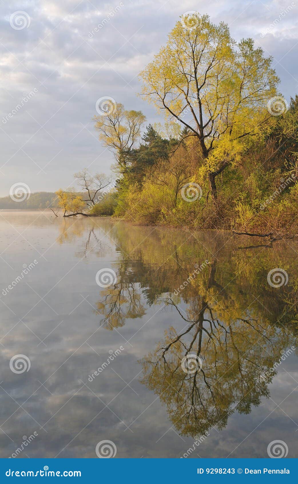 Spring Shoreline stock image. Image of still, fresh, lake - 9298243