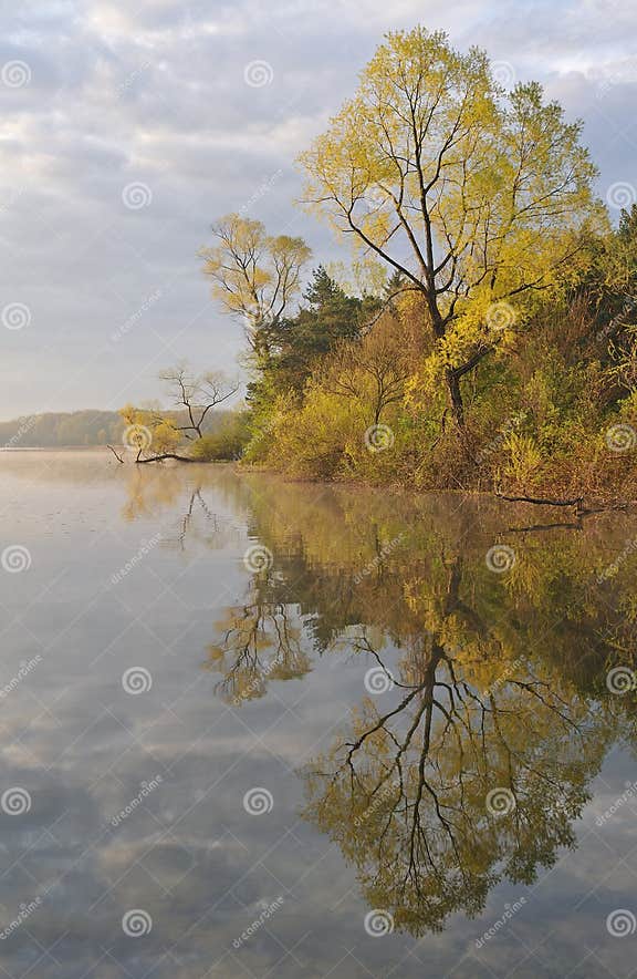 Spring Shoreline stock image. Image of still, fresh, lake - 9298243