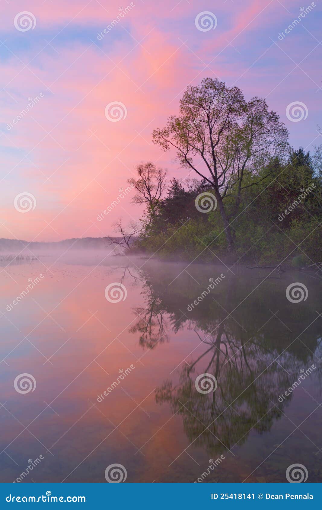 Spring Shoreline at Dawn stock image. Image of pink, nature - 25418141