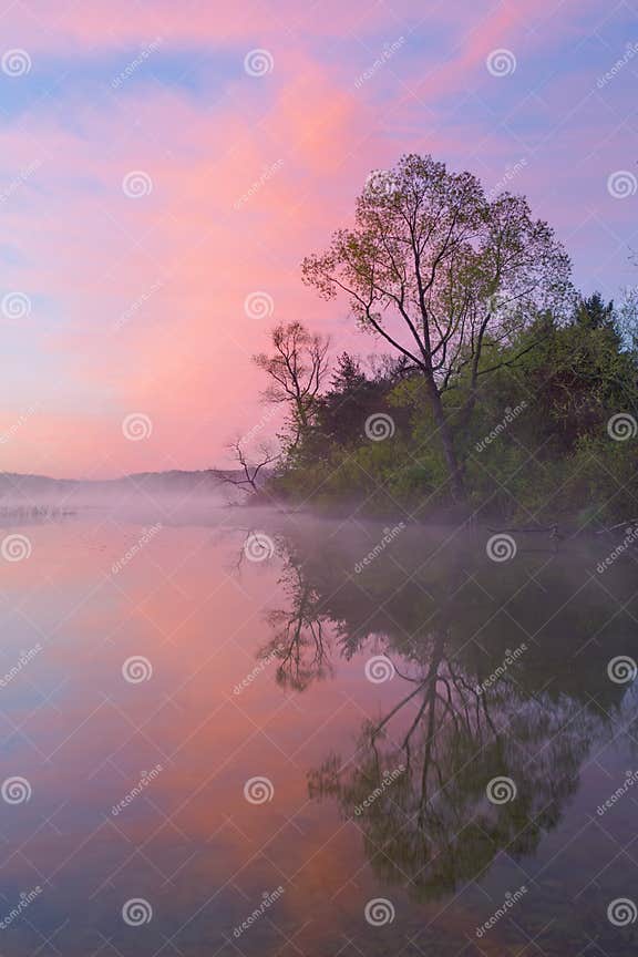 Spring Shoreline at Dawn stock image. Image of pink, nature - 25418141