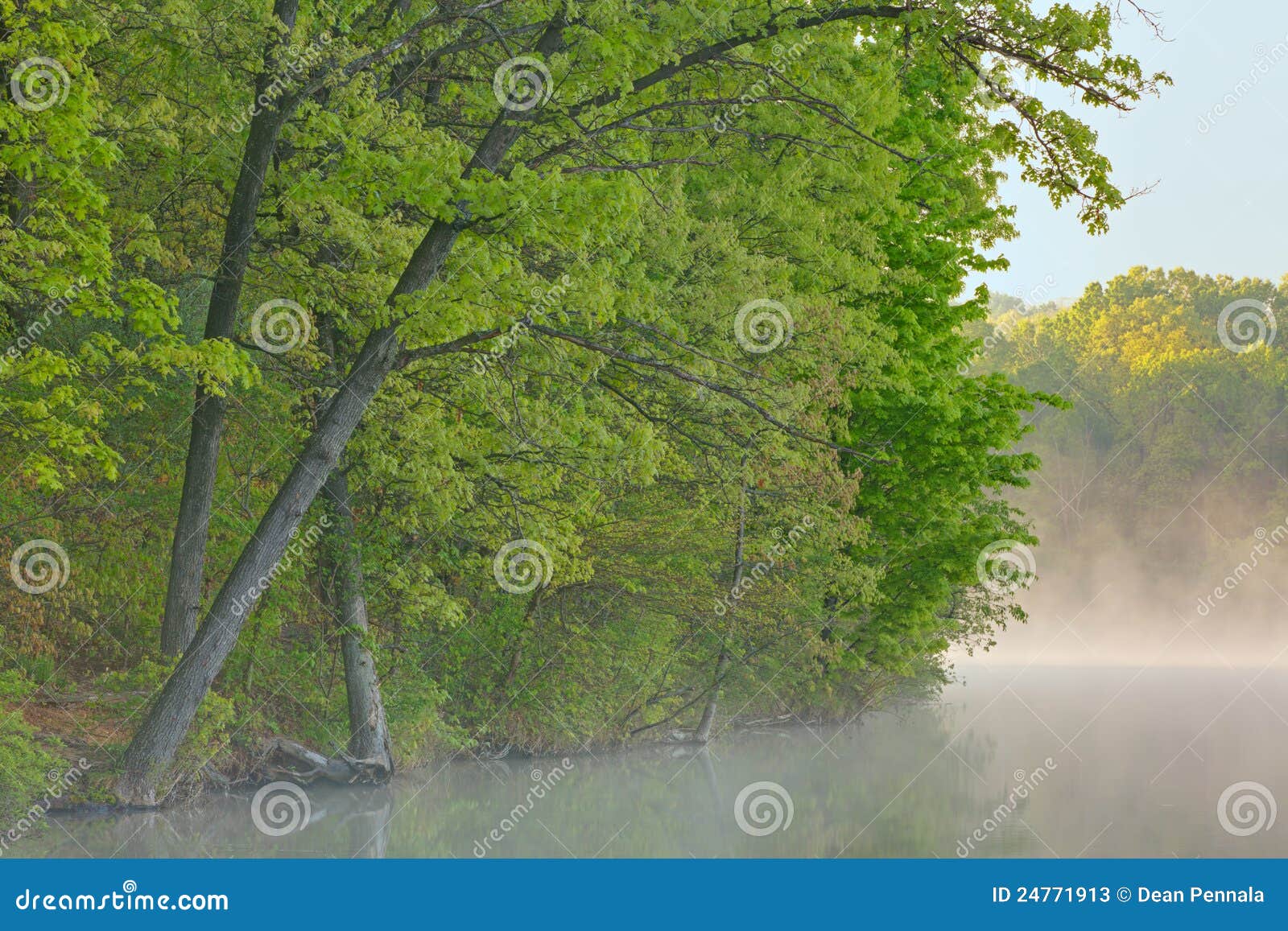 Spring Shoreline at Sunrise Stock Image - Image of park, spring: 24771913