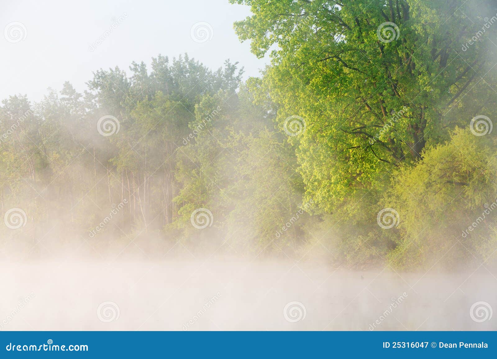 Spring Shoreline at Sunrise Stock Image - Image of peaceful, outdoors ...
