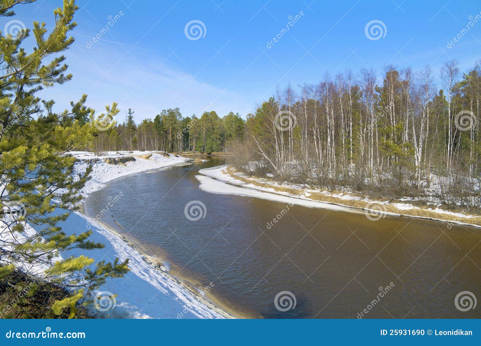 Spring in Siberia stock photo. Image of north, pond, forest - 25931690