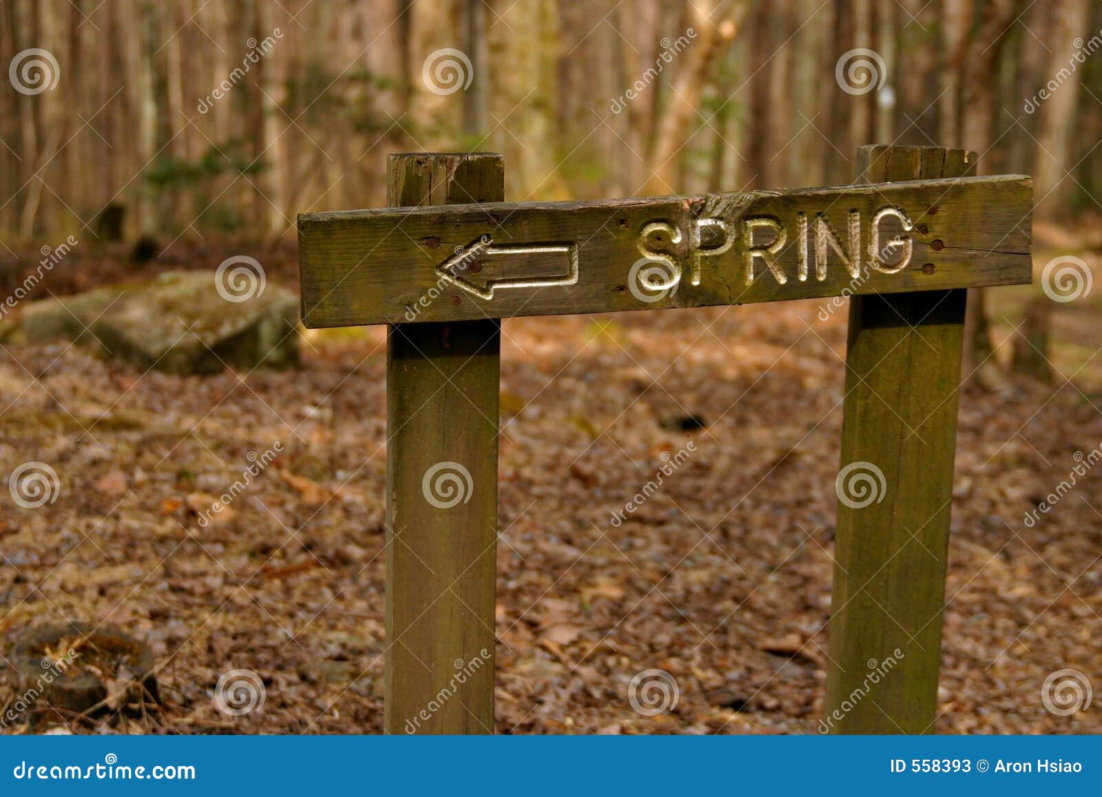 SPRING sign and arrow stock image. Image of outdoor, sign - 558393