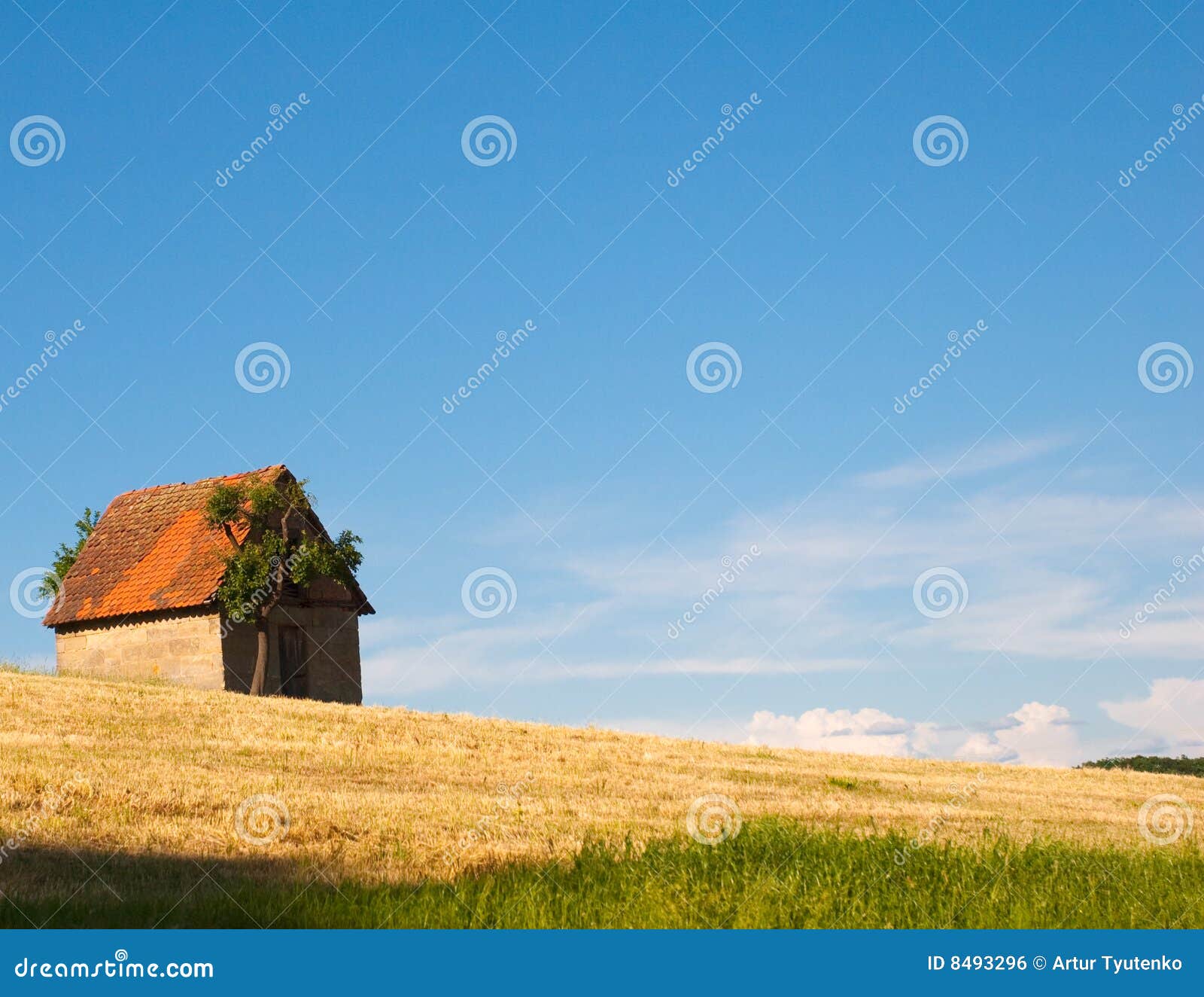Spring skies over a field stock photo. Image of crop, stone - 8493296