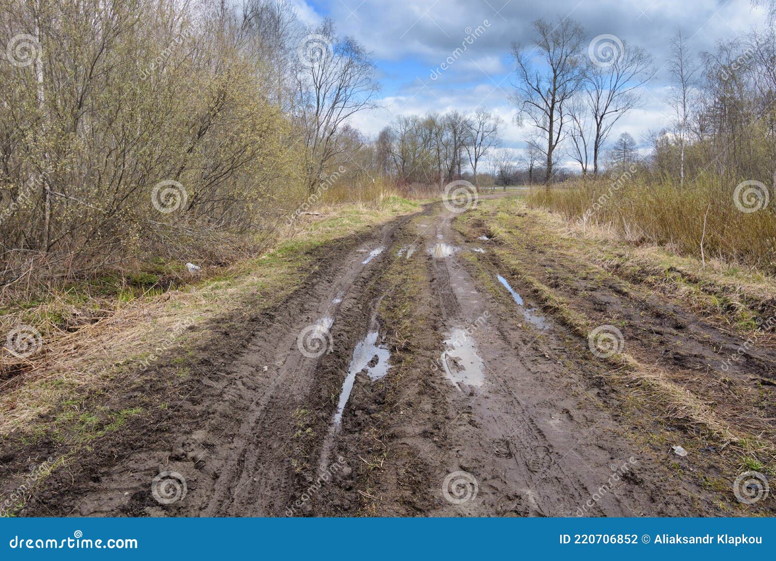 Spring slush and off-road stock photo. Image of grass - 220706852