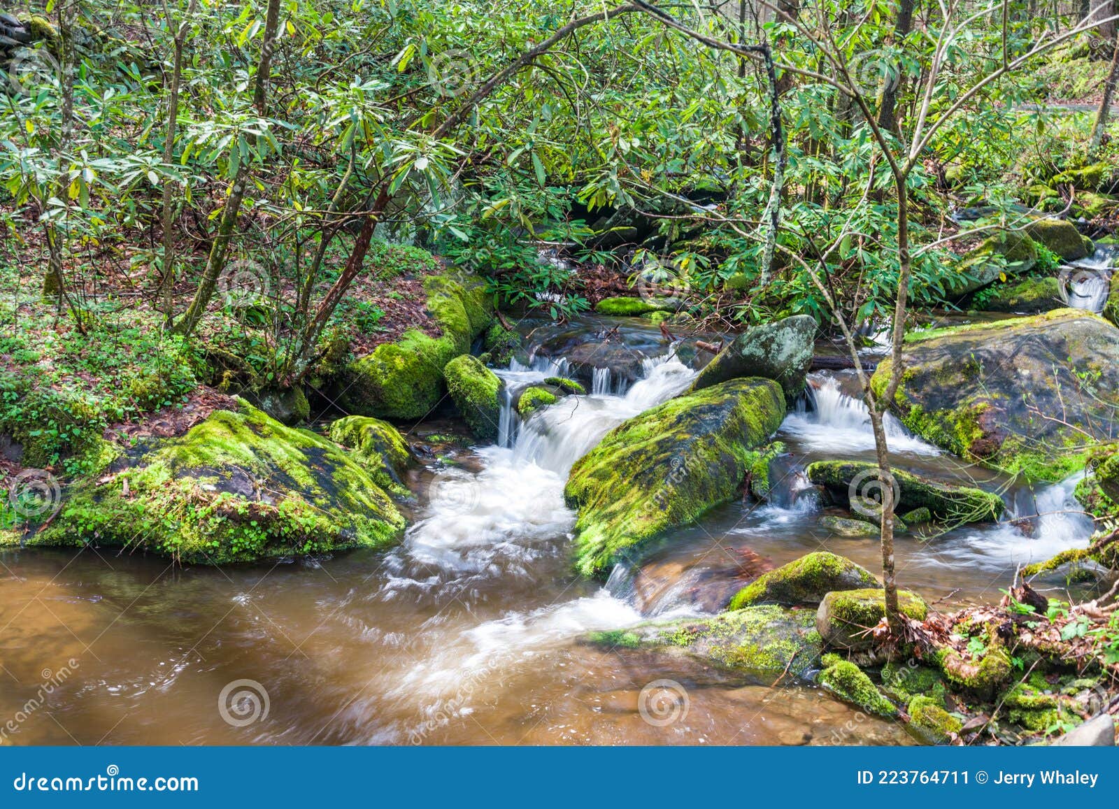 Spring in the Great Smoky Mountains National Park Stock Image - Image ...