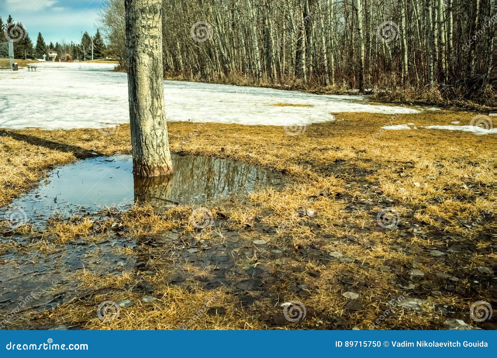 Spring snow melt down stock photo. Image of city, melt - 89715750