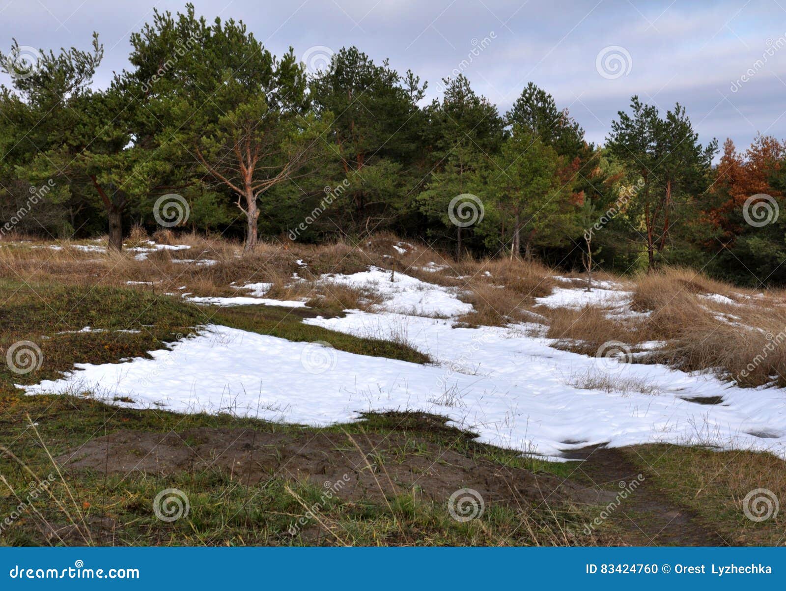 Spring snow melt stock photo. Image of spring, melting - 83424760