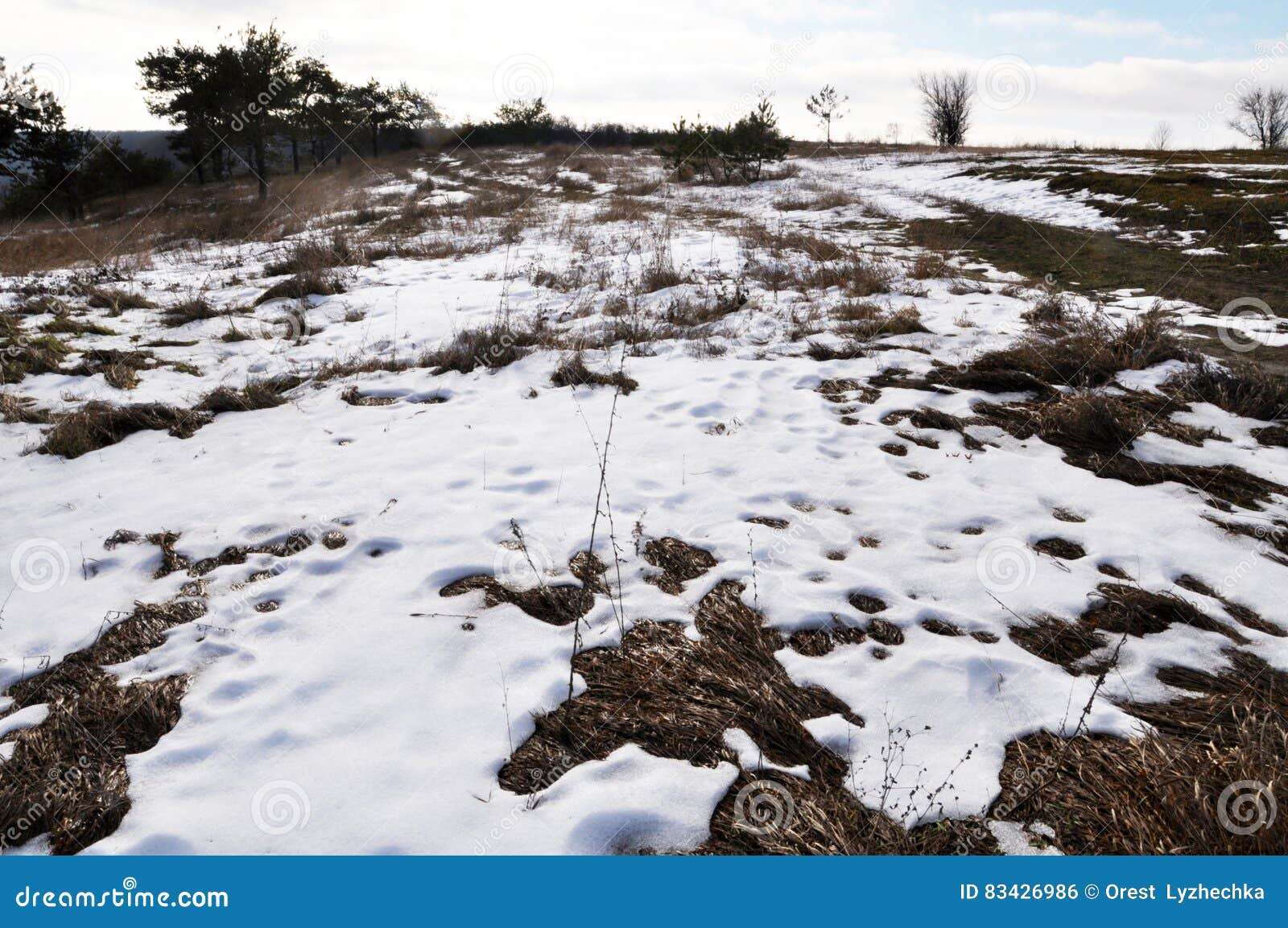 Spring snow melt_7 stock photo. Image of warm, grass - 83426986
