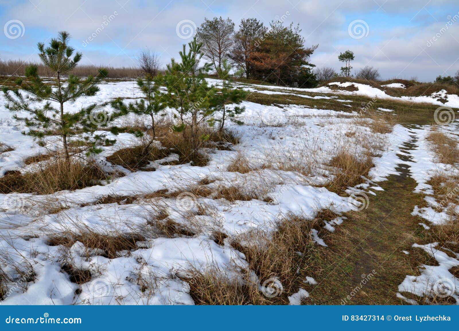 Spring snow melt_8 stock photo. Image of water, start - 83427314
