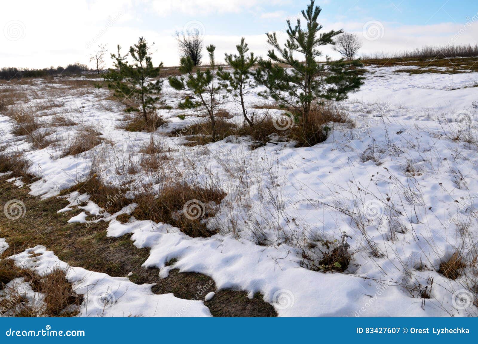 Spring snow melt_9 stock image. Image of grass, trees - 83427607