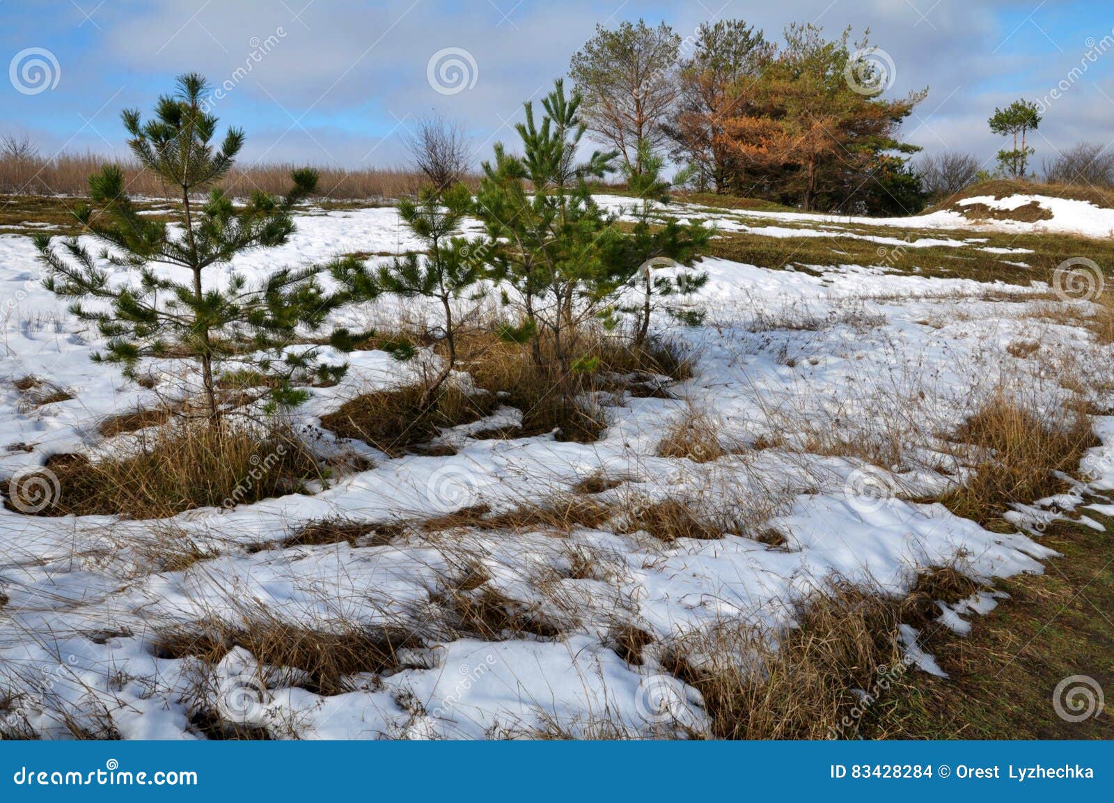 Spring snow melt_11 stock photo. Image of space, grass - 83428284