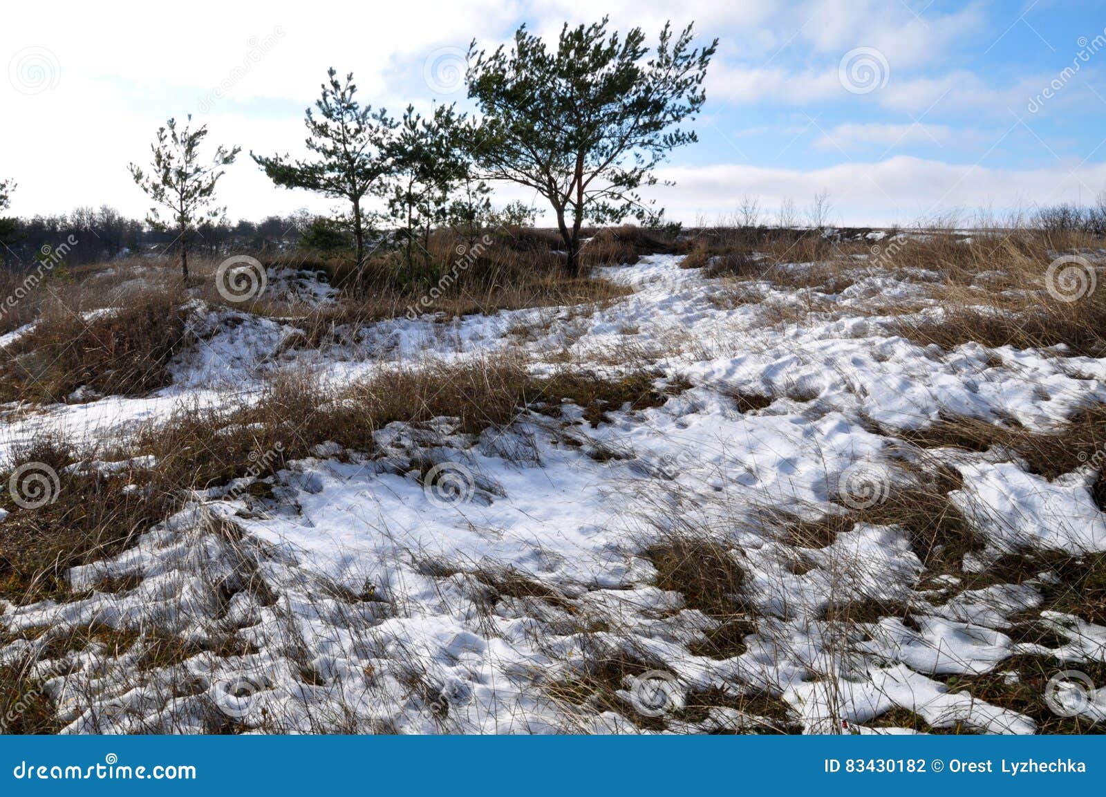 Spring snow melt_14 stock photo. Image of thawing, warm - 83430182