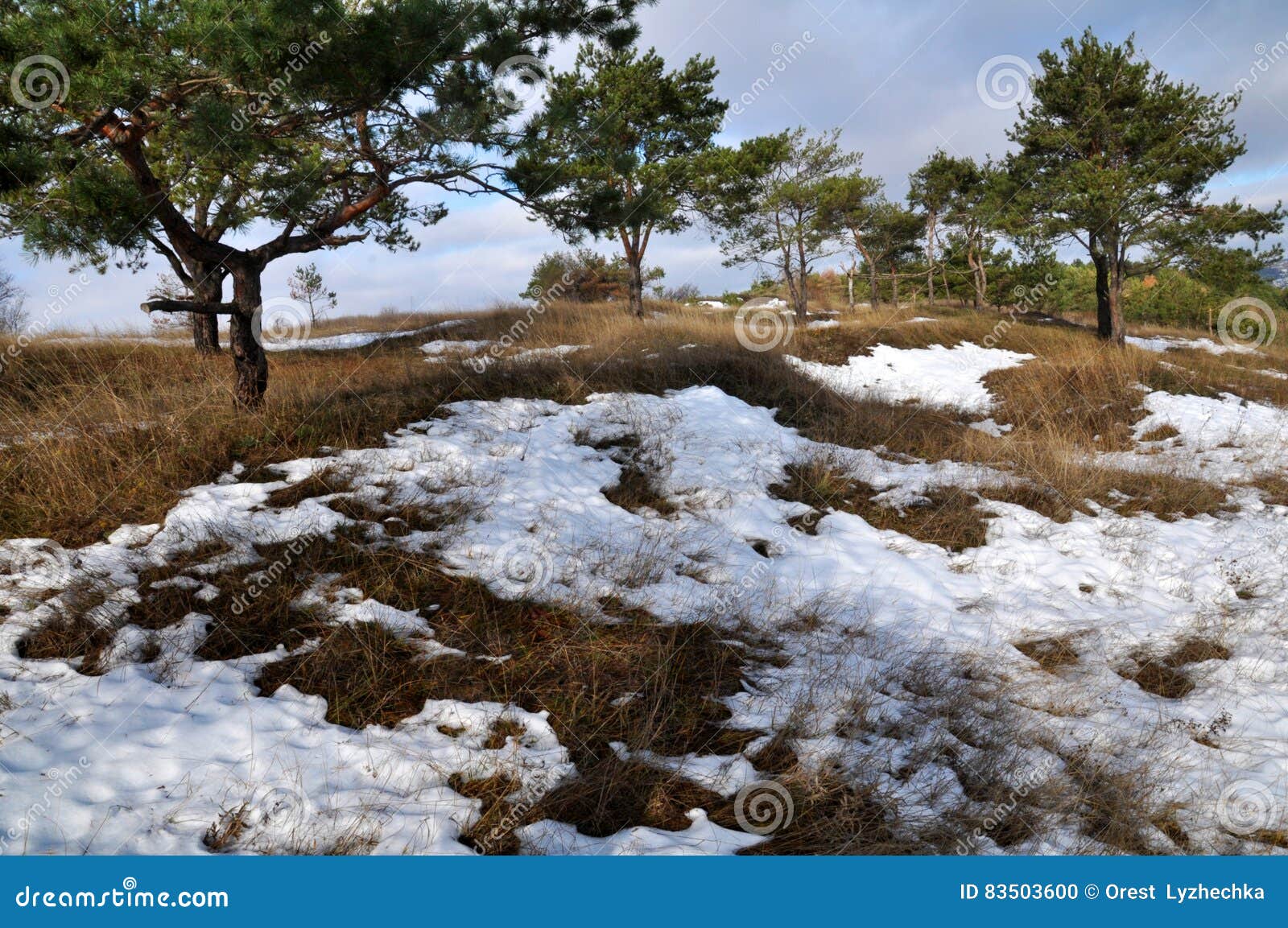 Spring snow melt_20 stock photo. Image of snow, melting - 83503600