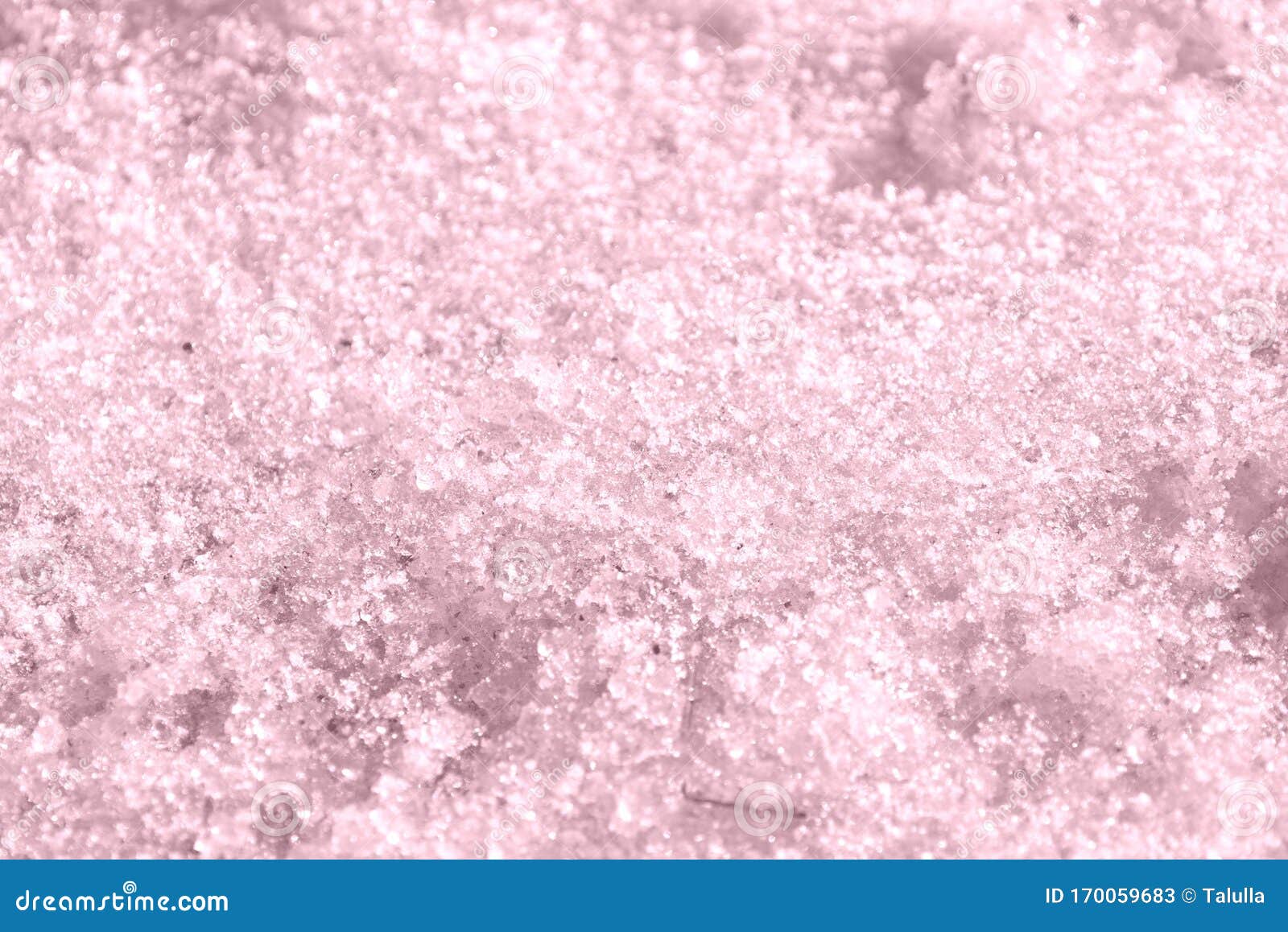 Spring Snow Texture Close Up. Abstract Winter Background Pink Color ...