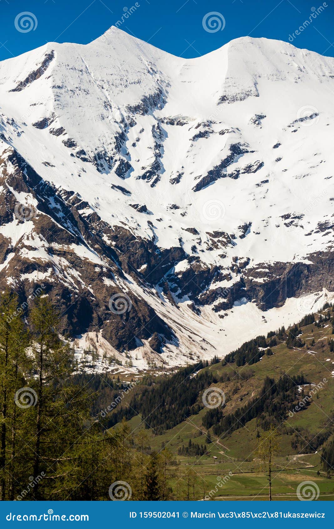 Spring Snow and Trees on the Slope. Grossglockner Pass in Austria Stock ...