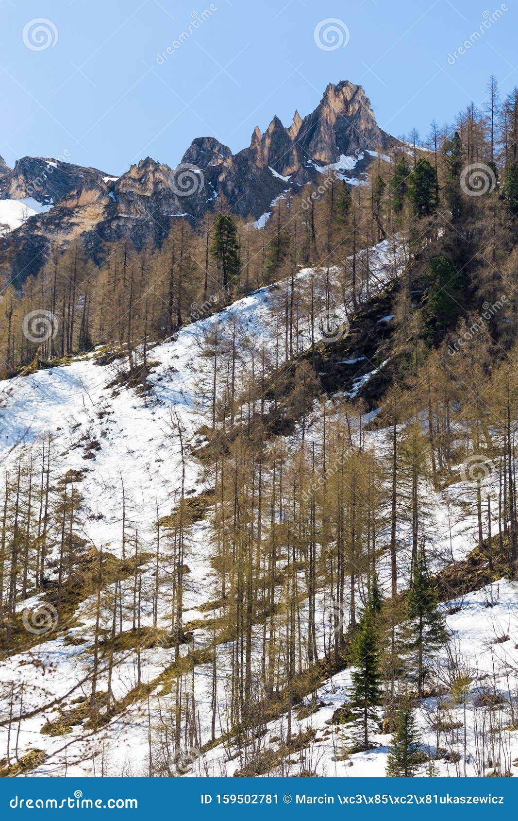 Spring Snow and Trees on the Slope. Grossglockner Pass in Austria Stock ...