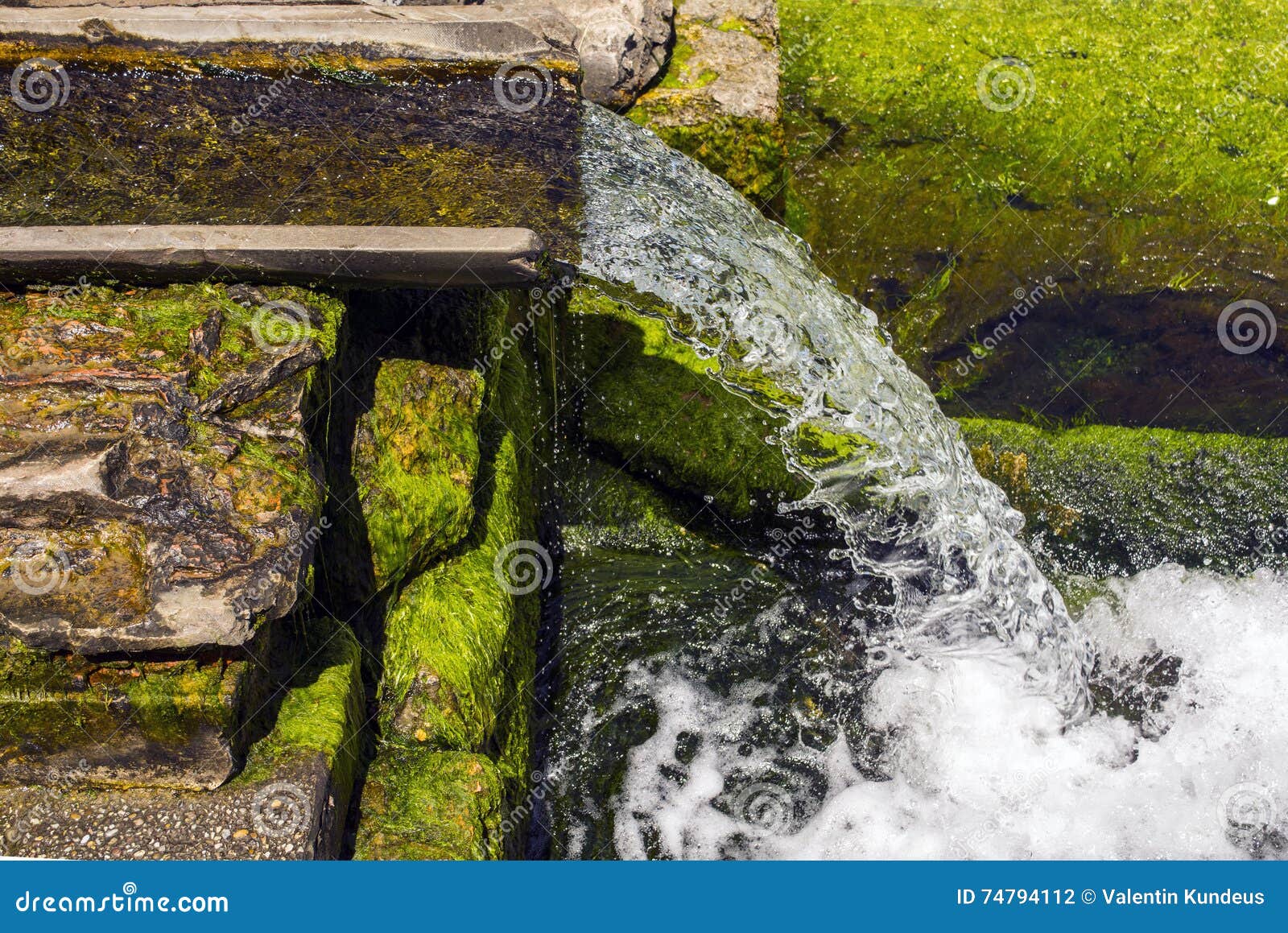 Spring Source of Clean Water Stock Photo - Image of green, pipe: 74794112