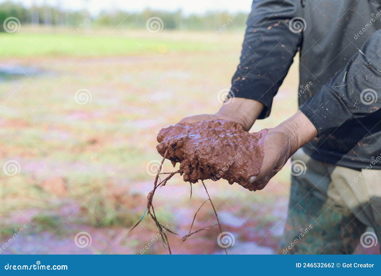 Spring Sowing Campaign. Men`s Hands with Soil Stock Photo - Image of ...
