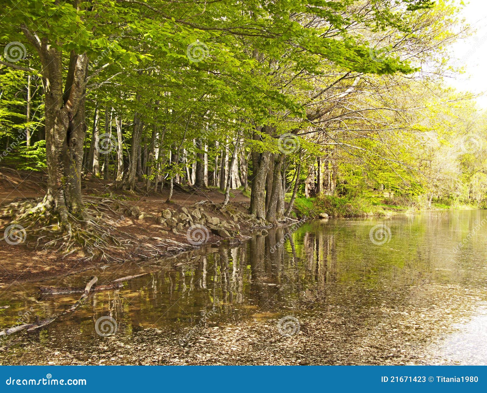 Spring in Spain stock image. Image of tree, nature, landscape - 21671423