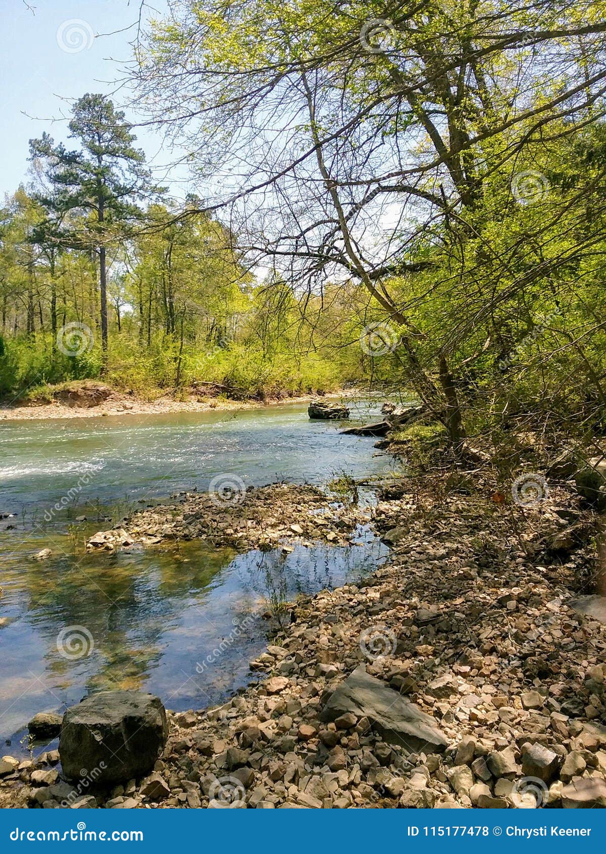 Spring stock photo. Image of sunny, spring, river, arkansas - 115177478