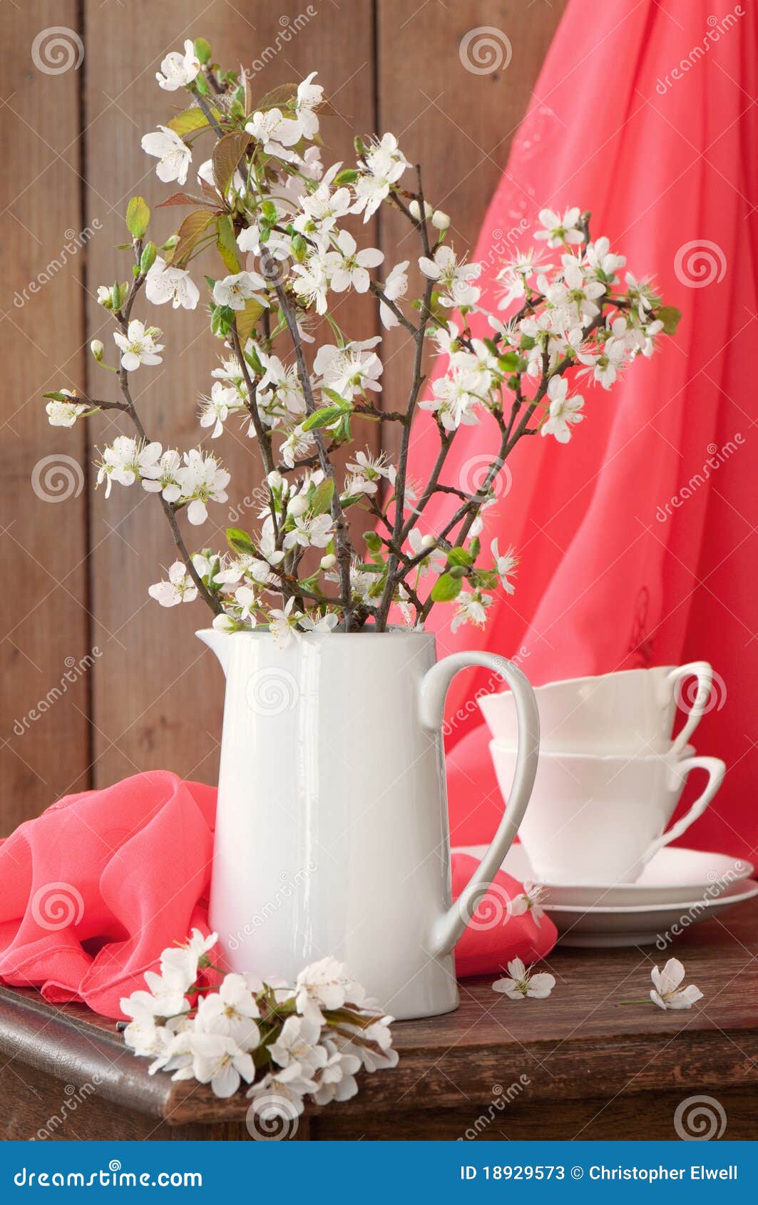 Spring Still Life stock image. Image of life, china, cups - 18929573