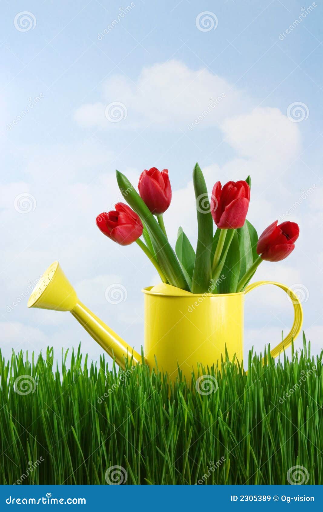 Spring still life stock image. Image of spring, holiday - 2305389