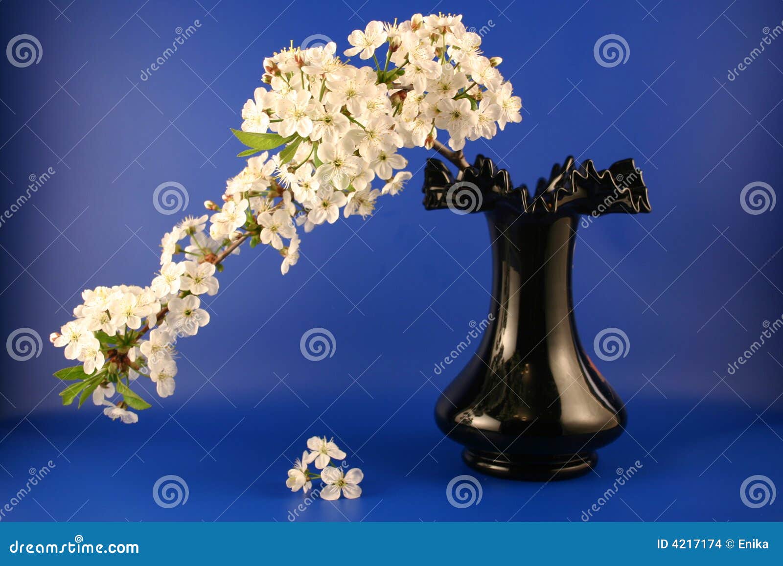 Spring still-life stock photo. Image of background, pollen - 4217174