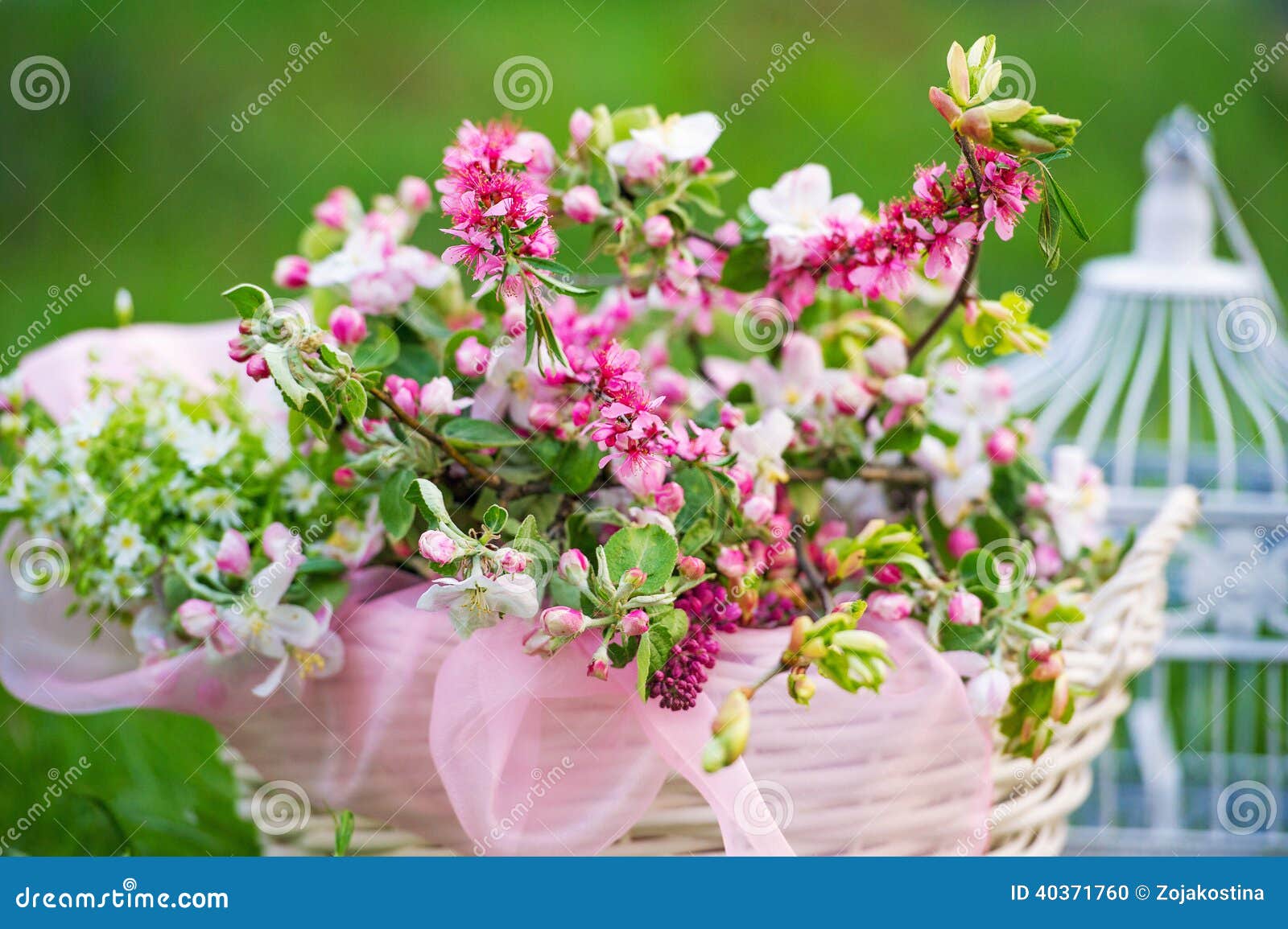 Spring Still Life in the Garden Stock Photo - Image of fresh, bouquet ...