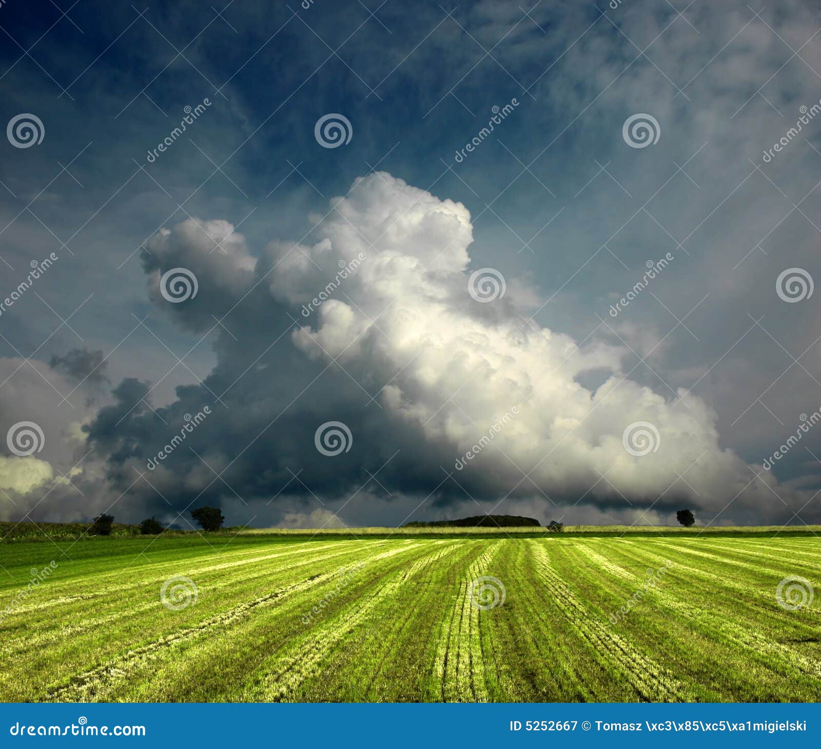 Spring storm stock image. Image of field, blue, agriculture - 5252667