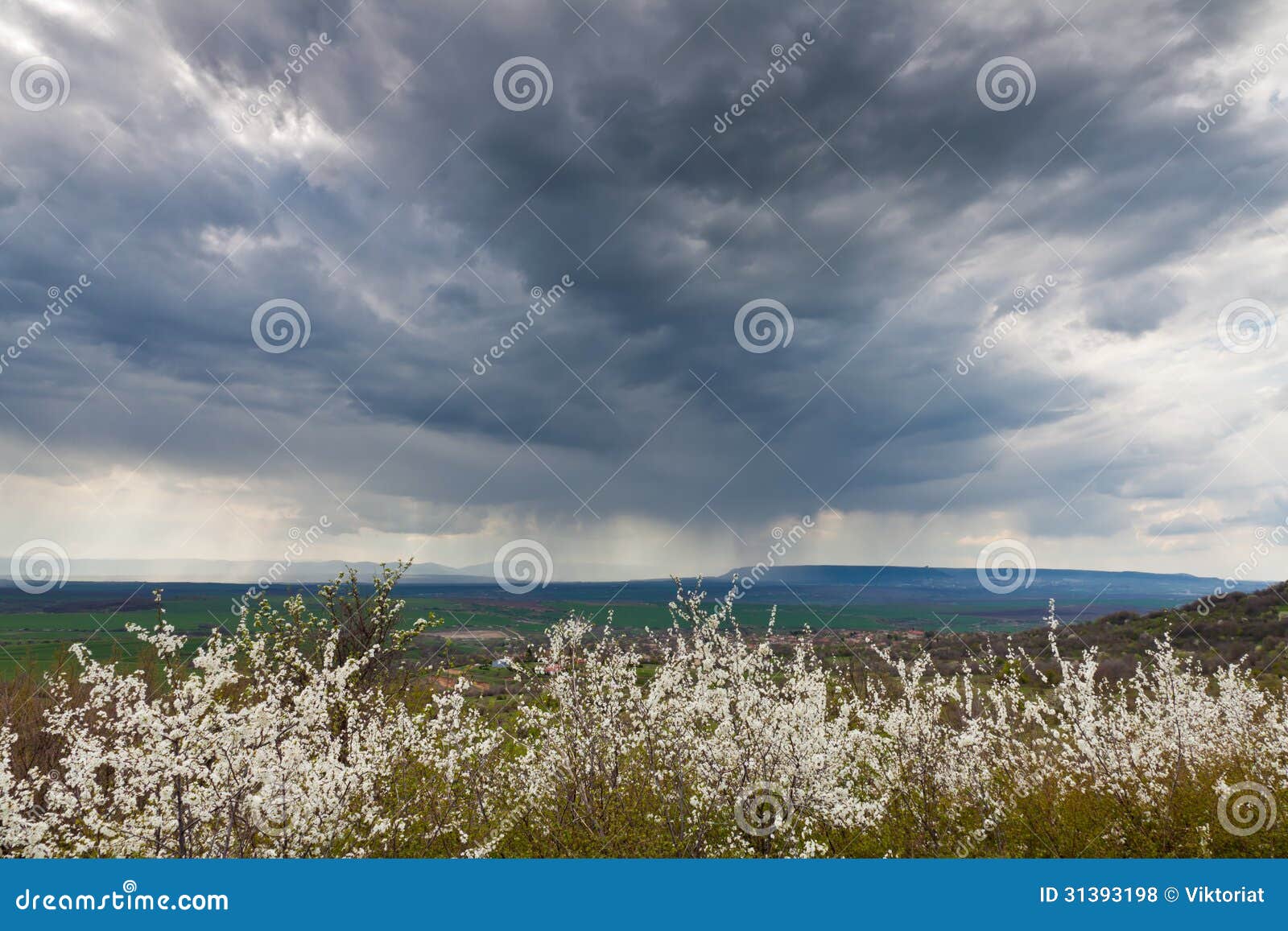 Spring storm stock photo. Image of grow, morning, heaven - 31393198