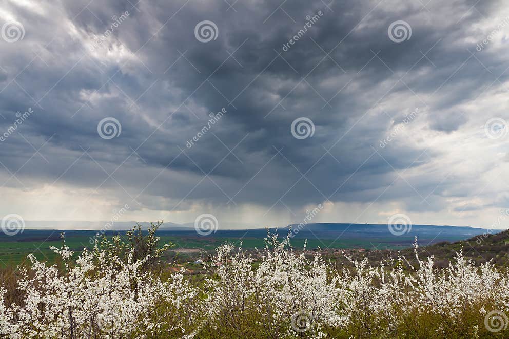 Spring storm stock photo. Image of grow, morning, heaven - 31393198