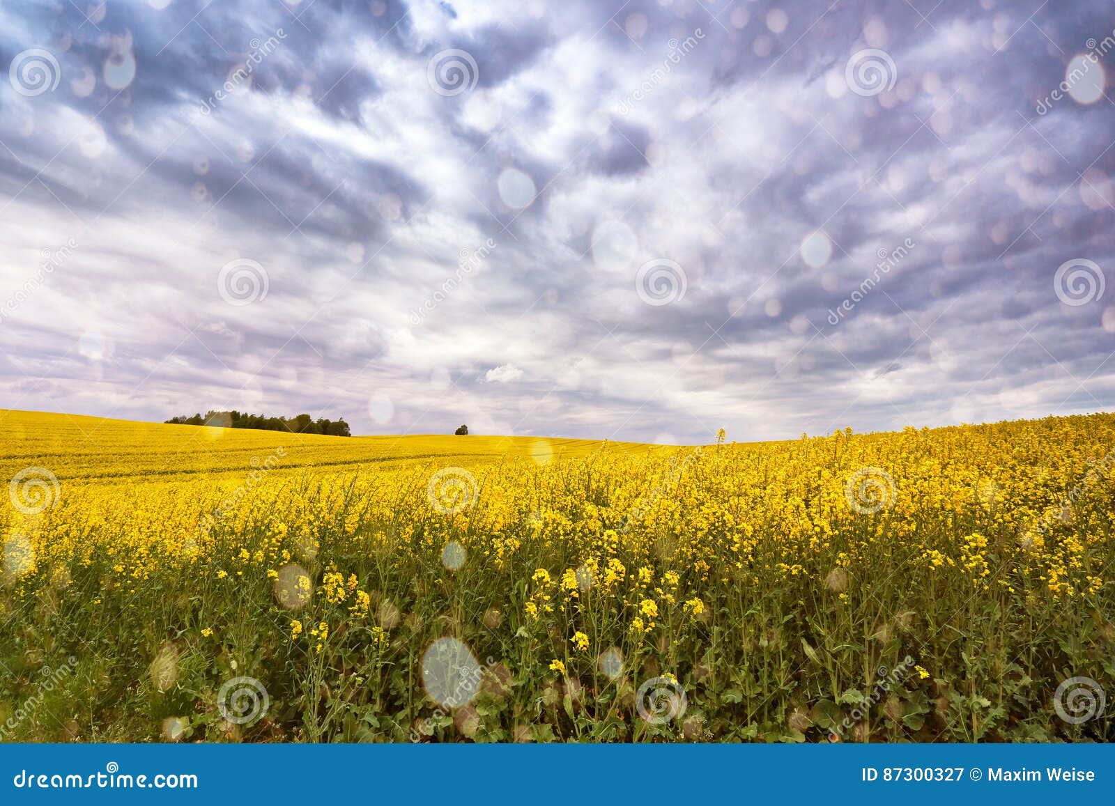 Spring Storm Clouds Above Seed Field. Stock Image - Image of beautiful ...
