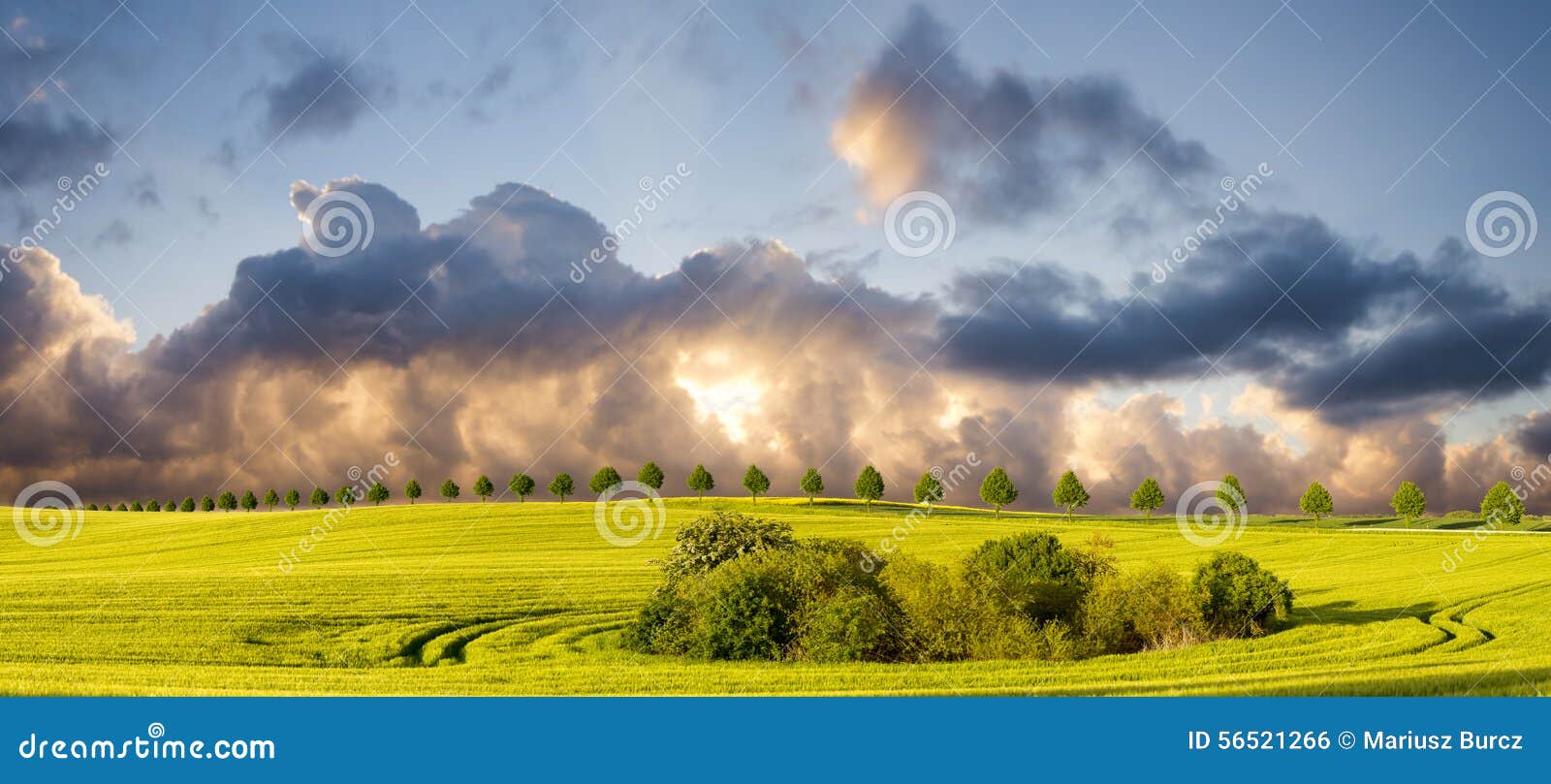 Spring storm over field stock photo. Image of summer - 56521266