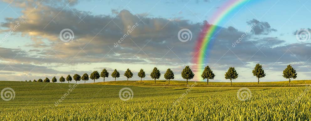 Spring storm over field stock image. Image of rotation - 56521349