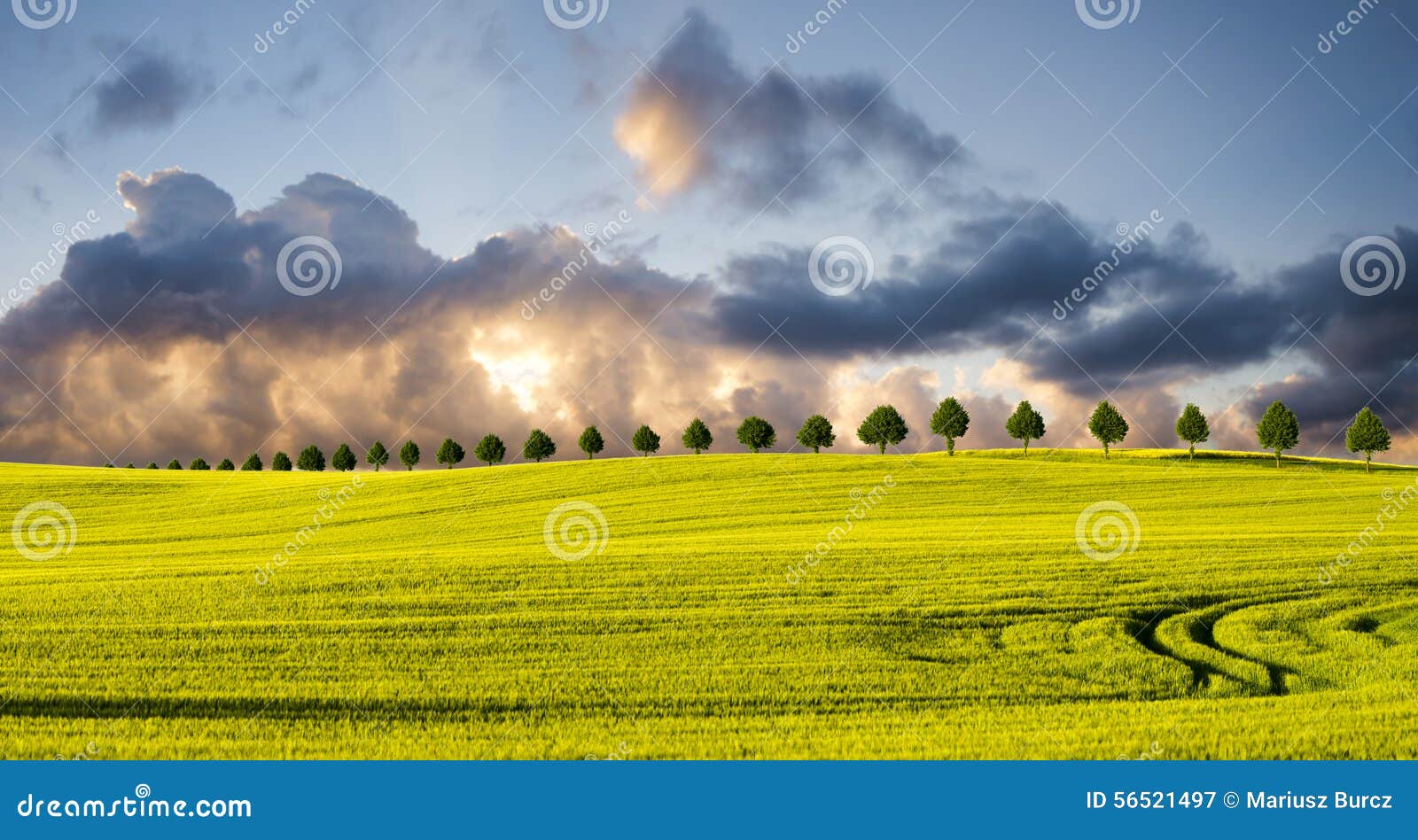 Spring storm over field stock image. Image of grow, mature - 56521497