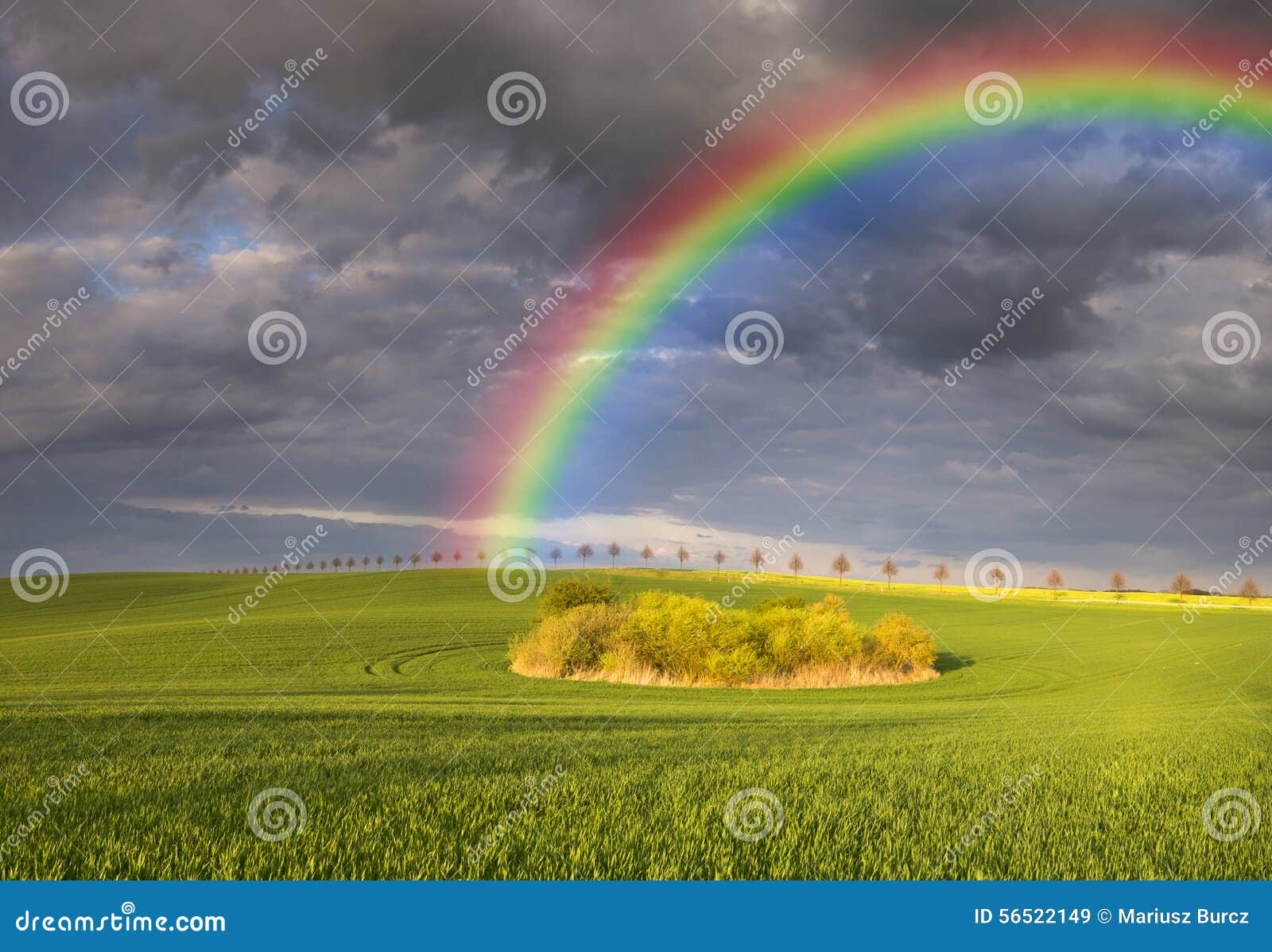 Spring storm over field stock image. Image of mature - 56522149