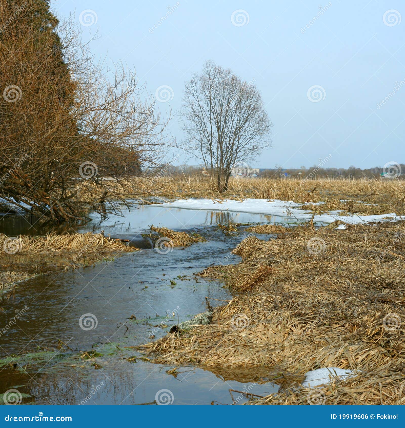 Spring stream stock photo. Image of outdoors, spring - 19919606