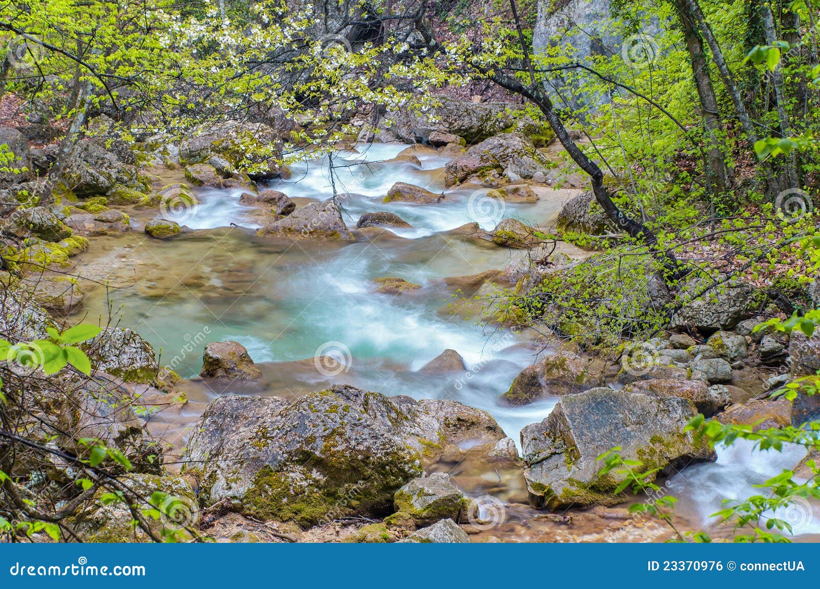 Spring stream stock photo. Image of nature, river, moss - 23370976