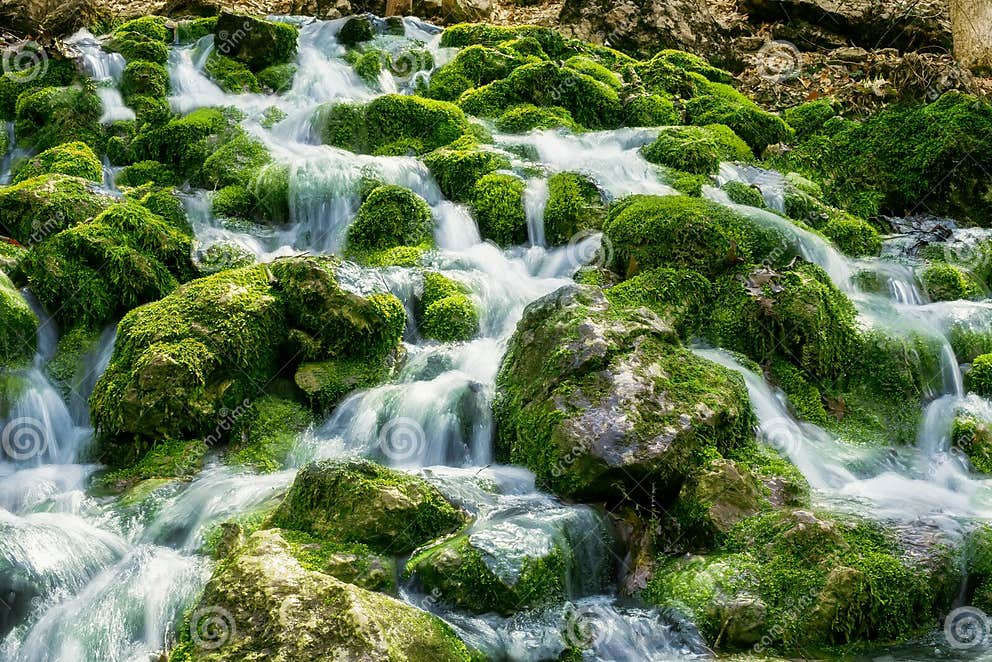 Spring stream stock photo. Image of river, summer, rocks - 24159948