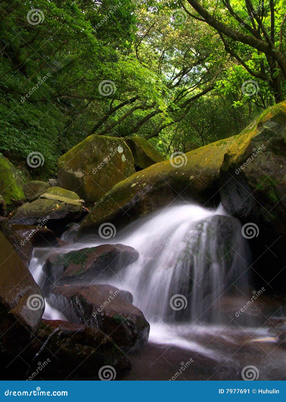Spring stream stock image. Image of fluid, high, flow - 7977691
