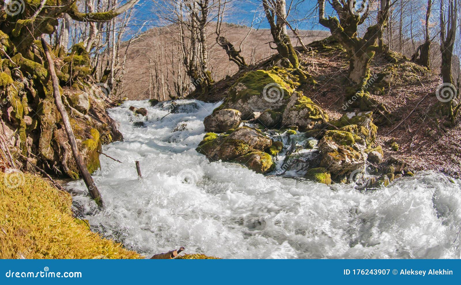 Spring Stream in Early Spring in the Balkans Stock Image - Image of ...
