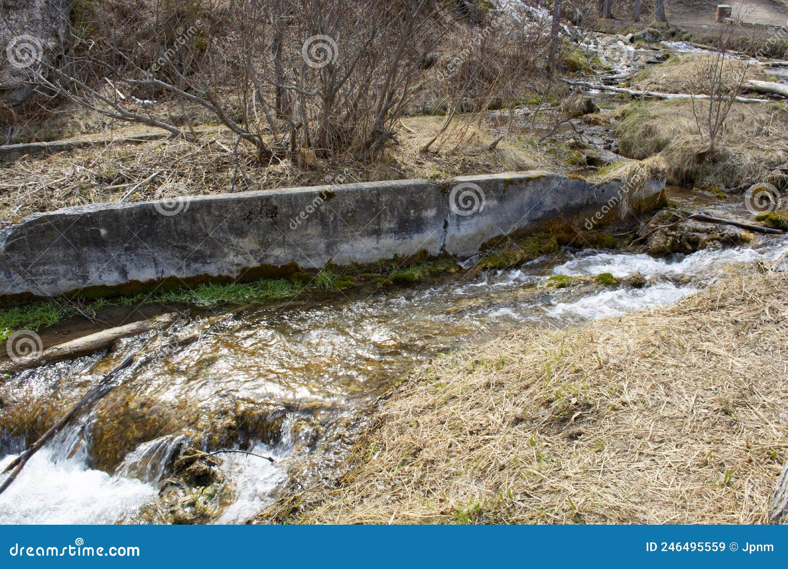 Spring Stream Flowing by Old Cement Foundation Stock Image - Image of ...